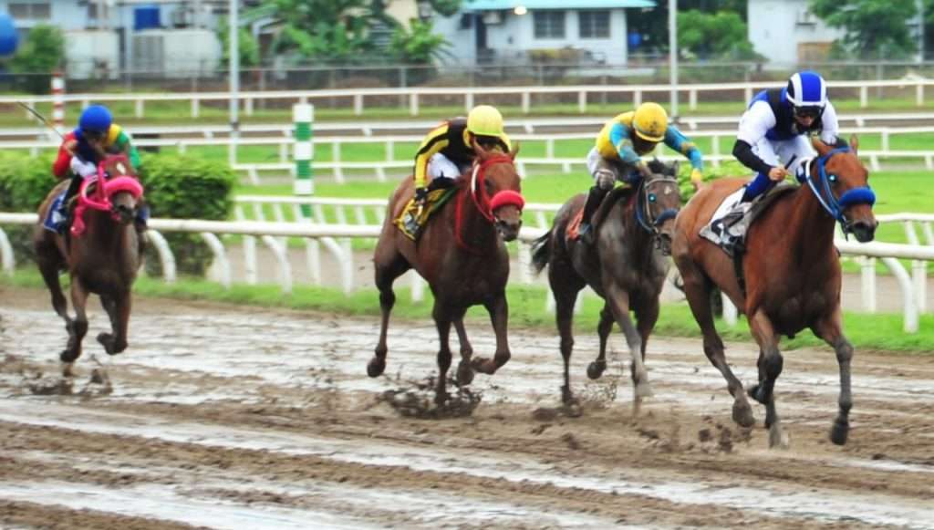 Jaque Doble gana la triple corona, pero su futuro es incierto - Noticiasvip24